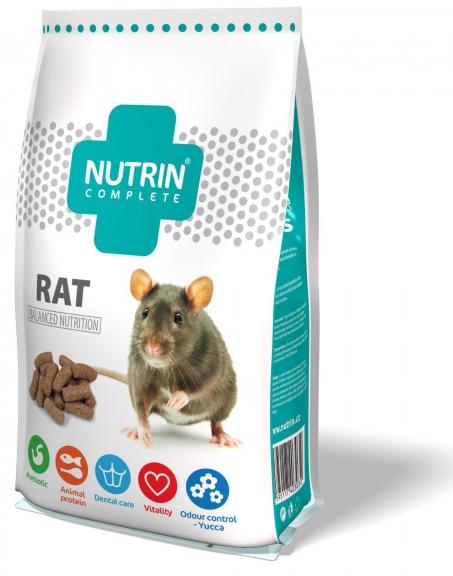 potkan druhy srsti | O chovu hlodavců | potkan | Hlodavci doma ...